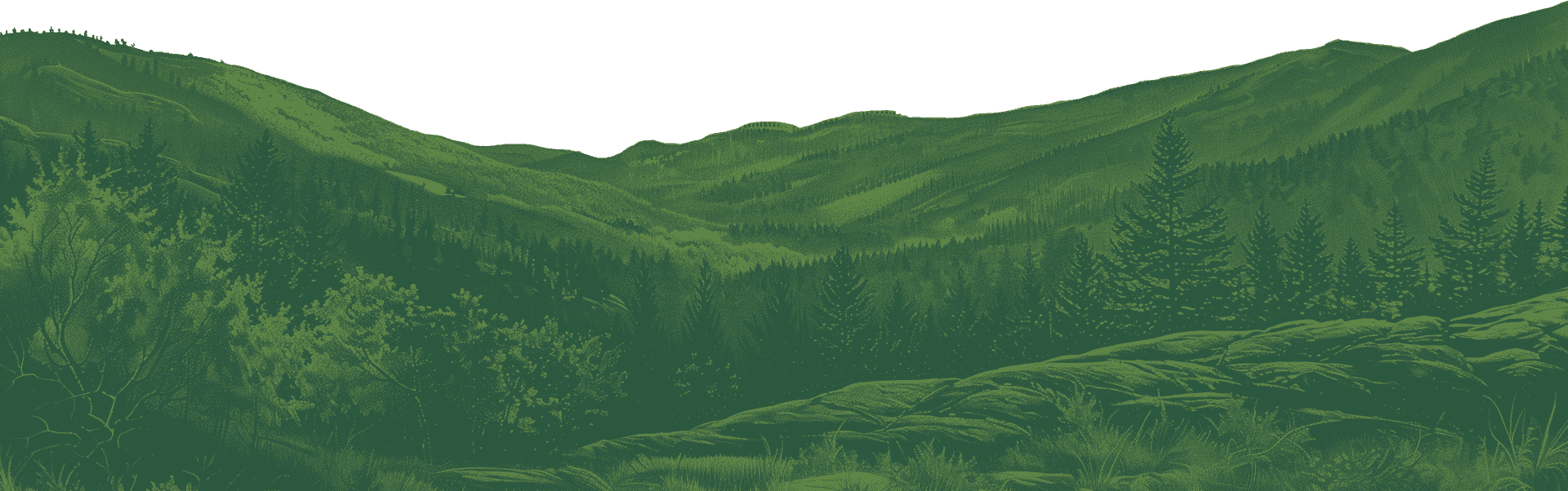 LILAC DIESEL Cultivated by Nature's Heritage