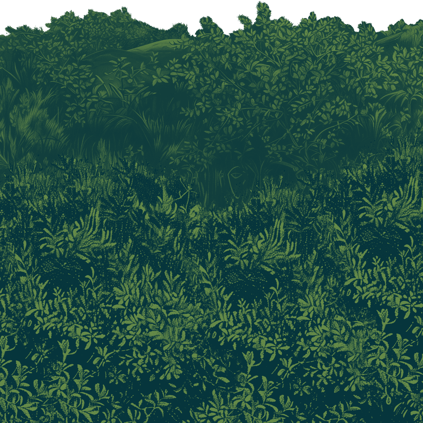 LAMB'S BREAD Cultivated by Nature's Heritage