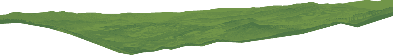 LILAC DIESEL Cultivated by Nature's Heritage