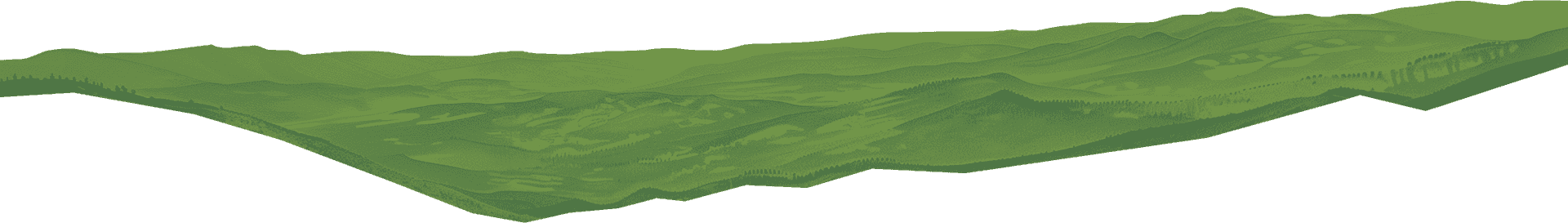 LILAC DIESEL Cultivated by Nature's Heritage